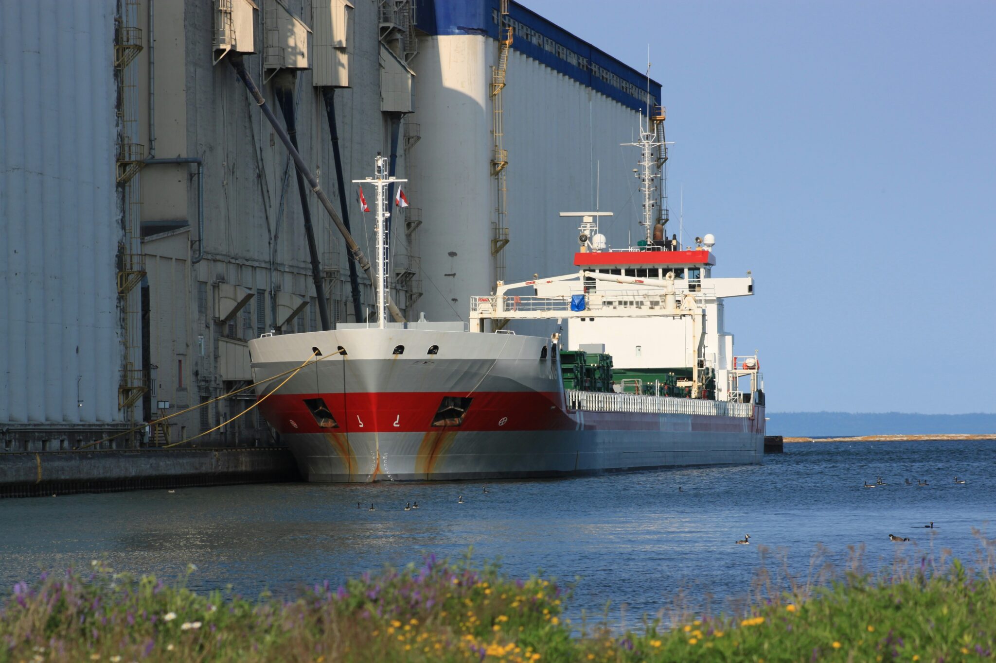Green vs. Blue Ammonia in Shipping: A Techno-Environmental Trade-off ...